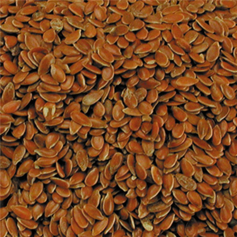 Graines de Lin - Détail 1 kg